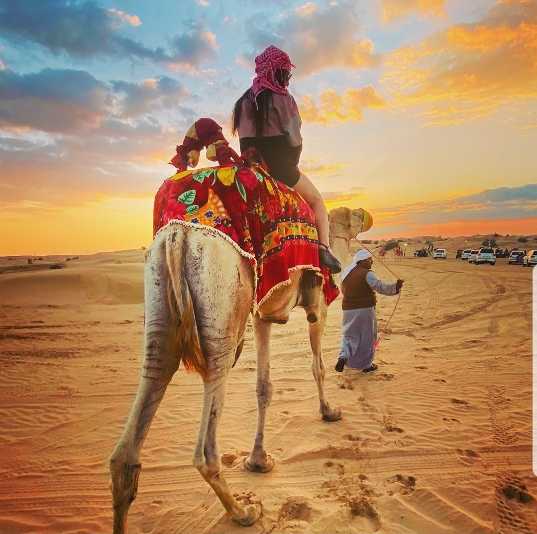 Camel Desert Safari - Dubai Desert Safari